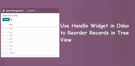 Use Handle Widget In Odoo To Reorder Records In Tree View