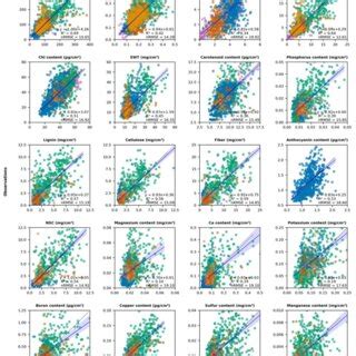 External Validation Correlation Between Observed And Predicted Values