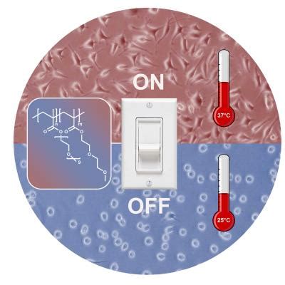 Switchable Bio Adhesion EurekAlert