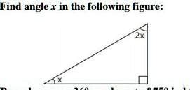 SOLVED Please Solve This Problem And Help Me Please Find Angle X In The Following Figure