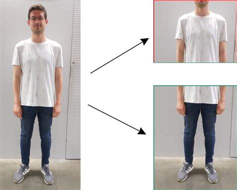 Upper And Lower Body Recognition With Opencv Download Scientific Diagram