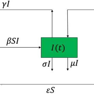 Flowchart Of An SEI Model With Education Humans Are Recruited Into The Download Scientific
