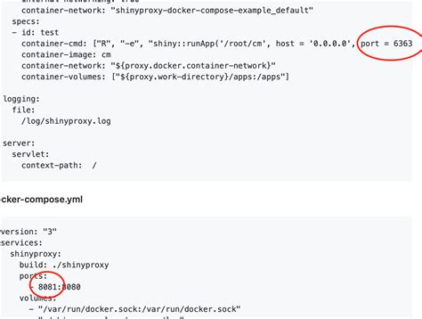 Error Message Failed To Start Container · Issue 1 · Shrektan