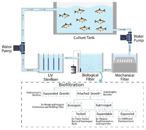 A Review Of Bubble Aeration In Biofilter To Reduce Total Ammonia Nitrogen Of Recirculating
