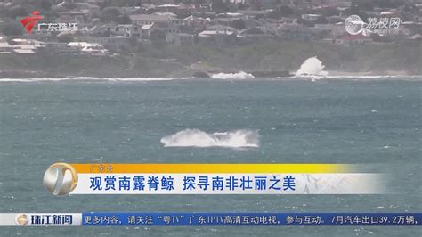 闪电成像仪从太空拍摄闪电 犹如繁星 荔枝网