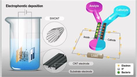 Co Laminar Microfluidic Microbial Fuel Cell Integrated With Electrophoretically Deposited Carbon