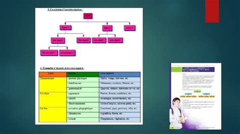 Le Texte Descriptif La Structure Dun Texte Descriptif