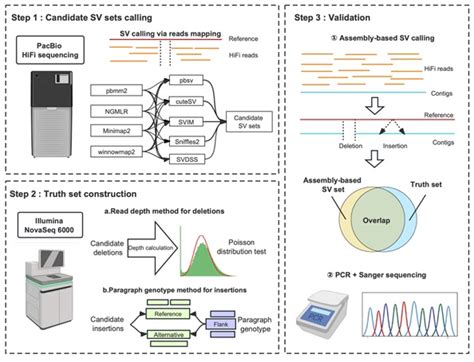 鲁非研究组完成基于三代测序技术的基因组结构变异检测基准测试 生物通