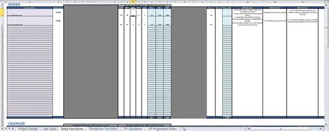Function Point Analysis