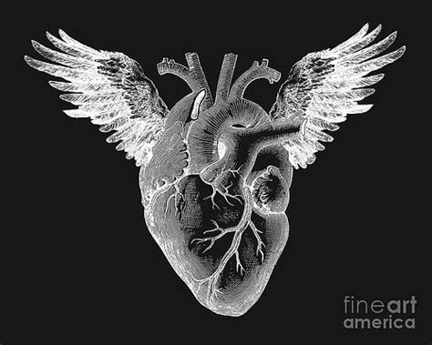 Artistic Anatomical Heart