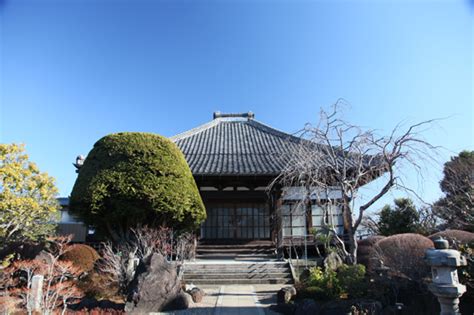 お手植えの菩提樹長命寺 暮らしにじぃーん