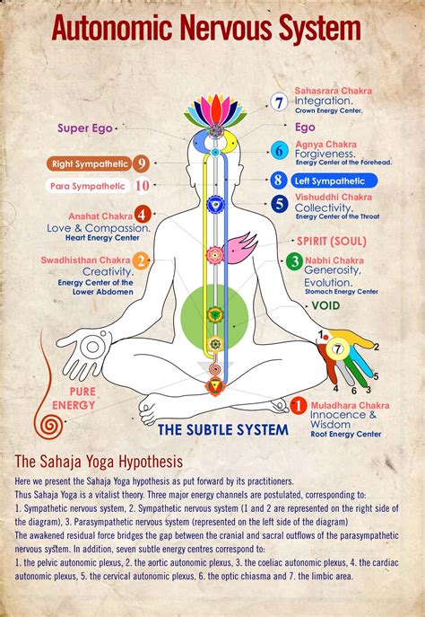 Autonomic Nervous System Chakras And Corresponding Plexuses Spreading Sahaja Yoga