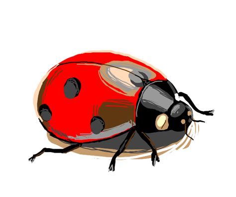 Ladybug Drawception