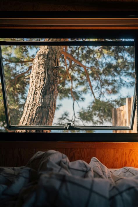 Ebonylegsspreadwideopen Photos Download The Best Free Ebonylegs