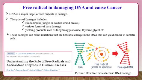 Role Of Free Radicals In Cancer Role Of Free Radicals In Etiopathology