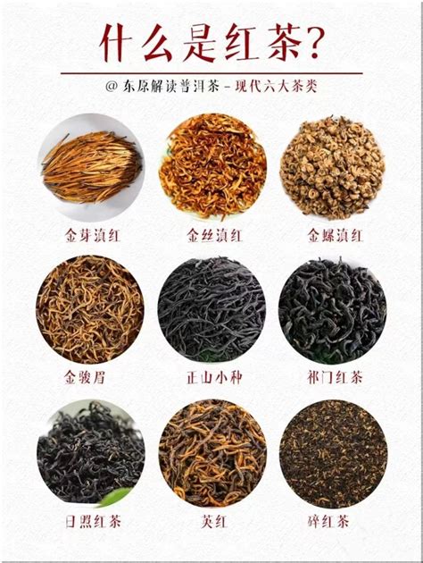 红茶有多少种类哪种红茶更好喝 茶幸福网