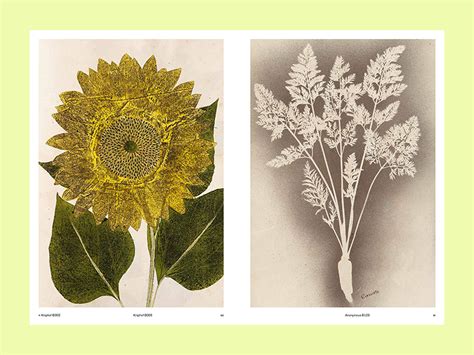 Capturing Nature 150 Years Of Nature Printing COPYRIGHT Bookshop
