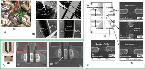 Figure 1 From A Review On Microscopic Visual Servoing For Micromanipulation Systems