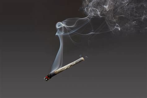 Flight Simulator Add On Tried To Catch Pirates By Installing Password Stealing Malware On Their