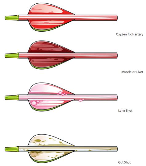 Identification Deer Blood Color Chart Educational Chart Resources