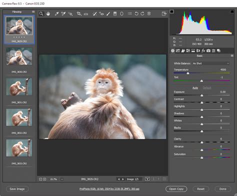 Solved No More Display Of Multiple Images Simultaneously Adobe