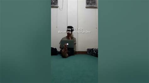 Day 117 150 Gitgithub Programmer Dicasdeprogramador Programador