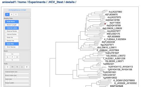 Subspecies Classification Service Bv Brc