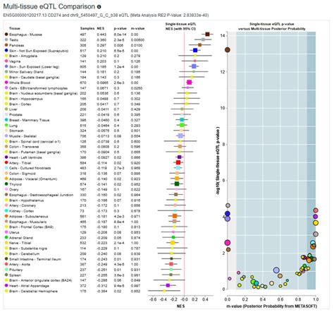 Gtex Multi Tissue Eqtls Analysis Of Association Between Rs10815225 C