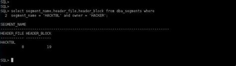 Block Corruption Dbmsrepair Oracle Writes
