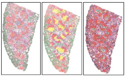 Tutorials Dirac 01 Documentation
