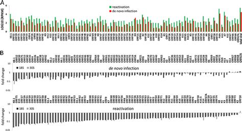 Genome Wide Analysis Of Kshv Transcripts By Rna Deep Sequencing A
