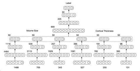 Multi Scale And Multi Type Feature Deep Neural Network The Input