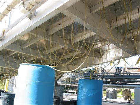 Effluent Collection System Download Scientific Diagram