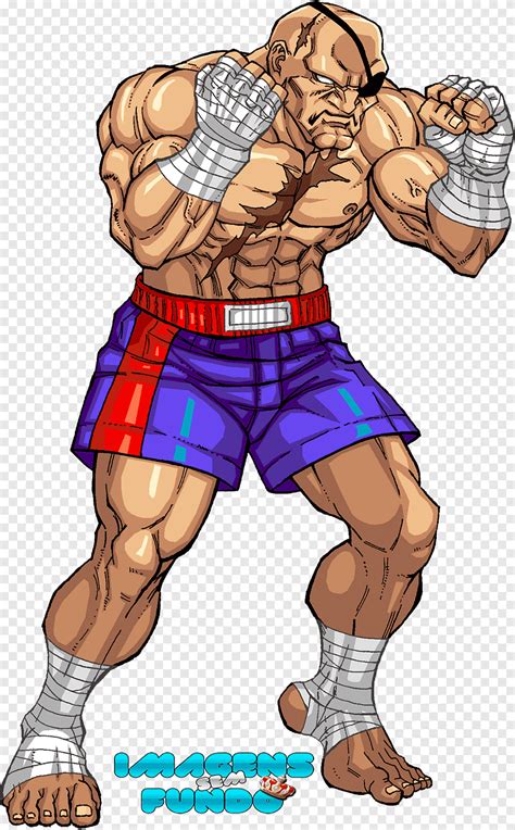 스트리트 파이터 캐릭터 아트 스트리트 파이터 Ii 세계 전사 슈퍼 스트리트 파이터 Ii 터보 스트리트 파이터 알파 스트리트 파이터 슈퍼 히어로 손 Png Pngegg