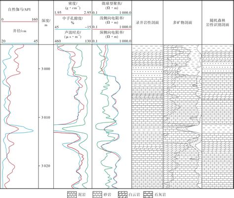 页岩地层测井岩性识别技术发展现状