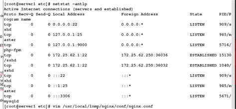 mysql nginx php memcache 程序员大本营