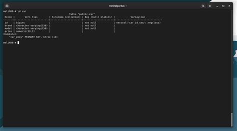 postgresql kurulumu ve temel veritabanı İşlemleri