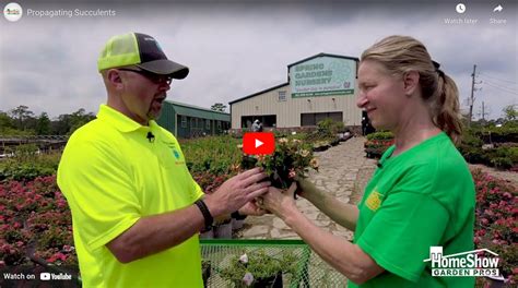 Propagating Succulents Homeshow Garden Pros Radio