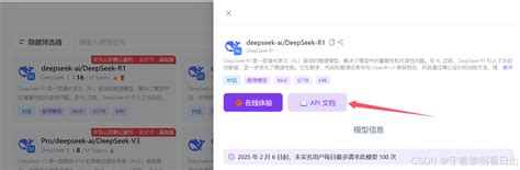 硅基流动 deepseek python python 守着黎明看日出 DeepSeek技术社区