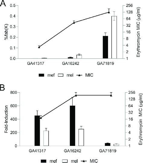 Mefe And Mel Expression Levels Correlate With Erythromycin Mic Download Scientific Diagram