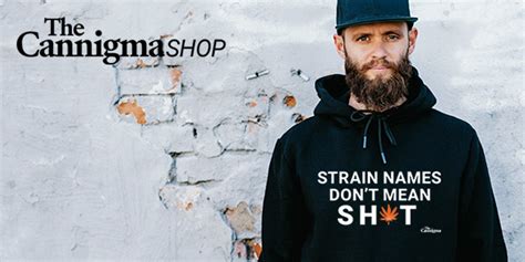 The 6 Best Cannabis Sex Products In 2025 The Cannigma