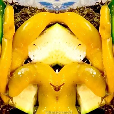 Diana Terranova биография рост вес размер груди