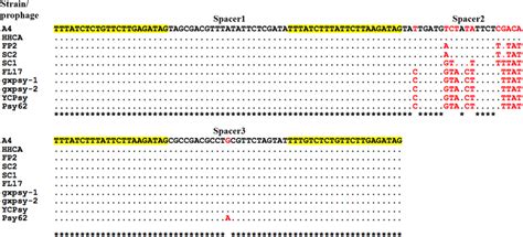 Sequence Alignment Of A Crispr Clustered Regularly Interspaced Short Download Scientific
