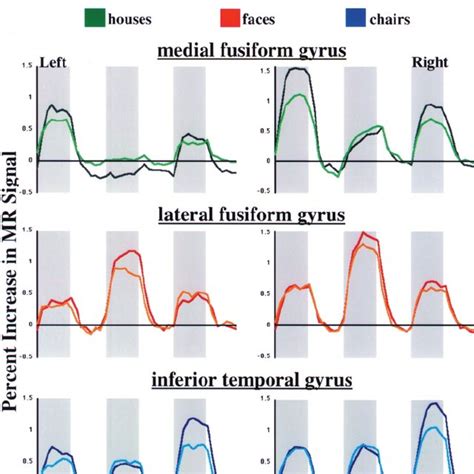 Response Topographies In Ventral Occipital Cortex In Experiment 2 Top Download Scientific