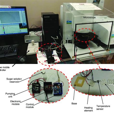 Experimental Setup For Sugar Identification And Quantification Based On Download Scientific