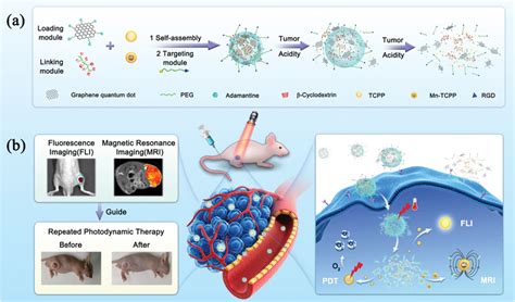 A Modularized Self‐assembly Method To Fabricate Graphene Quantum Download Scientific Diagram