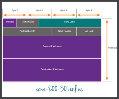 The Rules Ccna 200 301