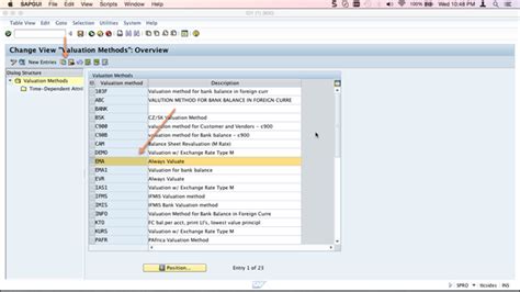 Foreign Currency Valuation In Sap Fico