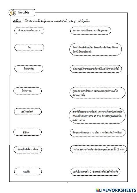 ใบงานที่ 1 1 เรื่องโครโมโซม ยีน ดีเอ็นเอ Online Exercise For Live Worksheets