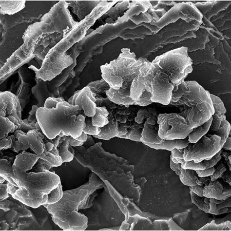 Sem Image Of Early Solidification Ti Modified Graphite From Sample